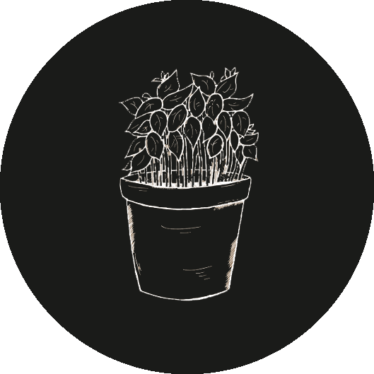 Willkommen bei der Tante Paula! Backen - Brauen - Brühen