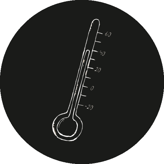 Willkommen bei der Tante Paula! Backen - Brauen - Brühen